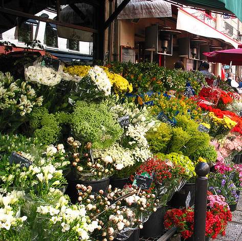 Fifi Flowers: Flowers for Paris Garden...