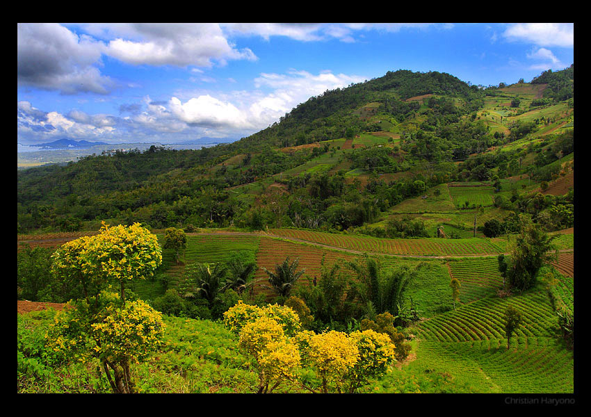 PROVINSI SULAWESI UTARA