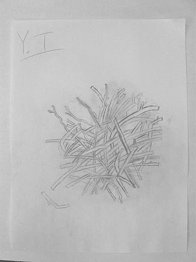 Ysabel's Art class blog: Pile of Sticks