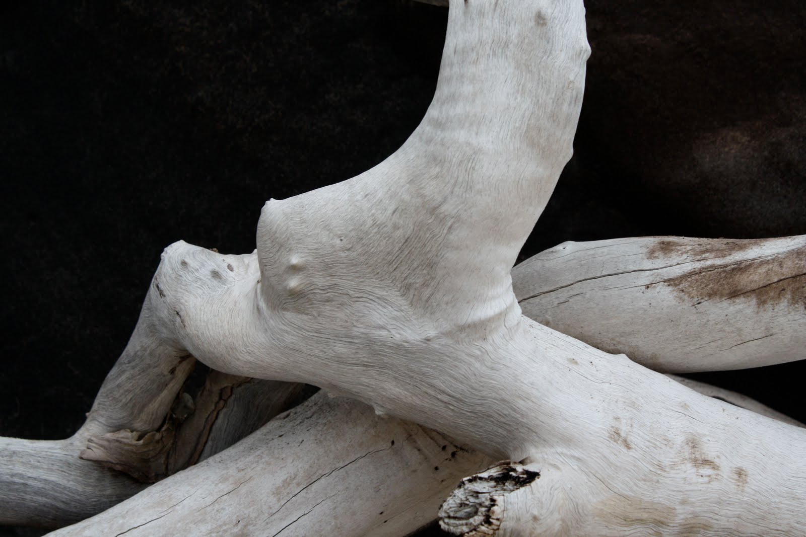 Rainbow Beach holiday house: Sand city and driftwood aliens