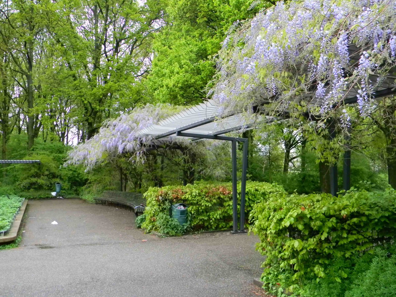 Projecteren: Erasmuspark Amsterdam West