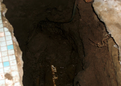 * Mungo Says Bah * Bushcraft Blog: Excuse Me, Have You Got Any ...