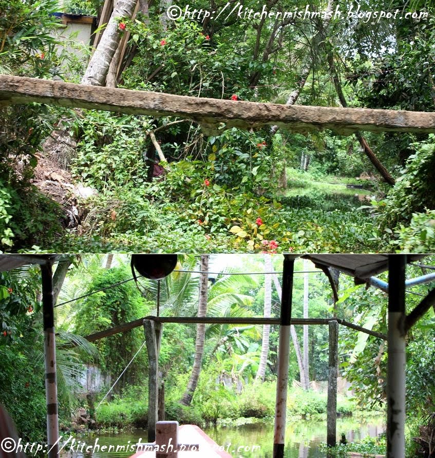 Mishmash !: A glimpse into the day-to-day life of people at Kainakary ...