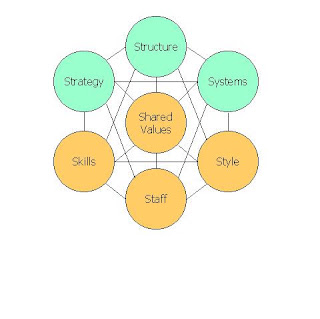 MS-10 Organisational Design, Development and Change: Organisation Design