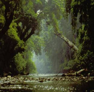 SEJARAH SPM: TOK GAJAH : PAHLAWAN PAHANG