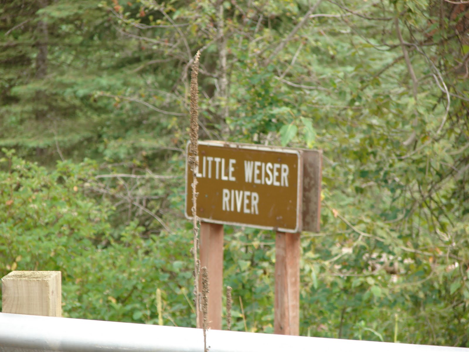 Archery Elk Hunt Idaho: 8/30/10 Opening Morning Idaho Archery Elk Hunt ...