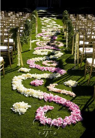 Dionete Lemos Eventos: Corredor de pétalas de rosas