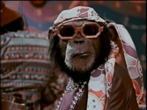 Atomic Caravan: TV Tuesday! - Lancelot Link, Secret Chimp (1970-1972)