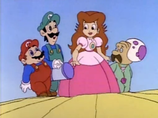 Mario Derp Contest ~ Vinesauce Vidya