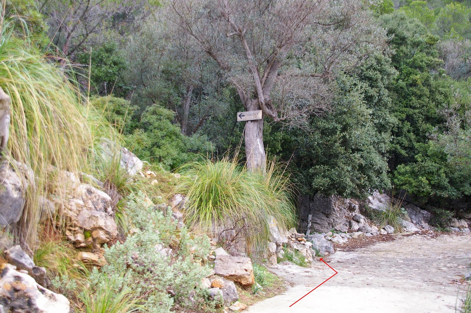 TRESQUES PER TRAMUNTANA: SA TALAIA DE CAL REIS