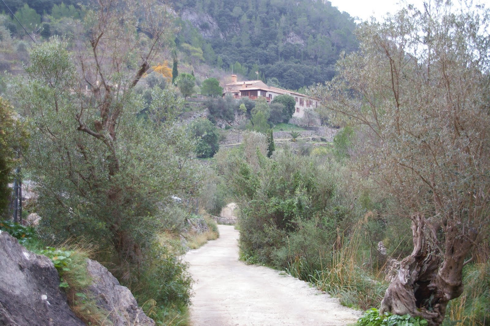 TRESQUES PER TRAMUNTANA: SA TALAIA DE CAL REIS