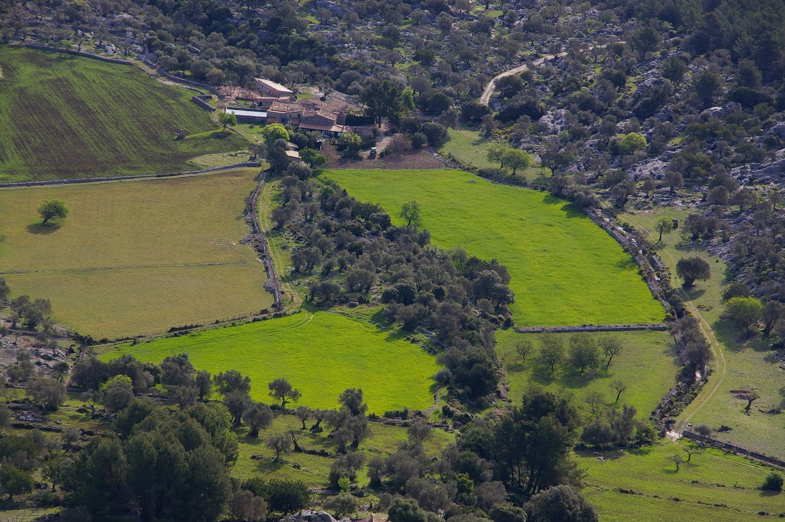 TRESQUES PER TRAMUNTANA: LA CUCULLA DE FARTARITX