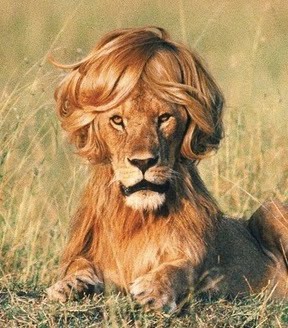 La simplicité en publicité