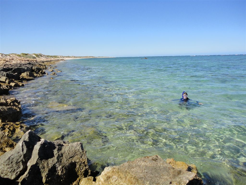 Australian Adventure 2010: Snorkelling @ Oyster Stack (Cape Range NP ...