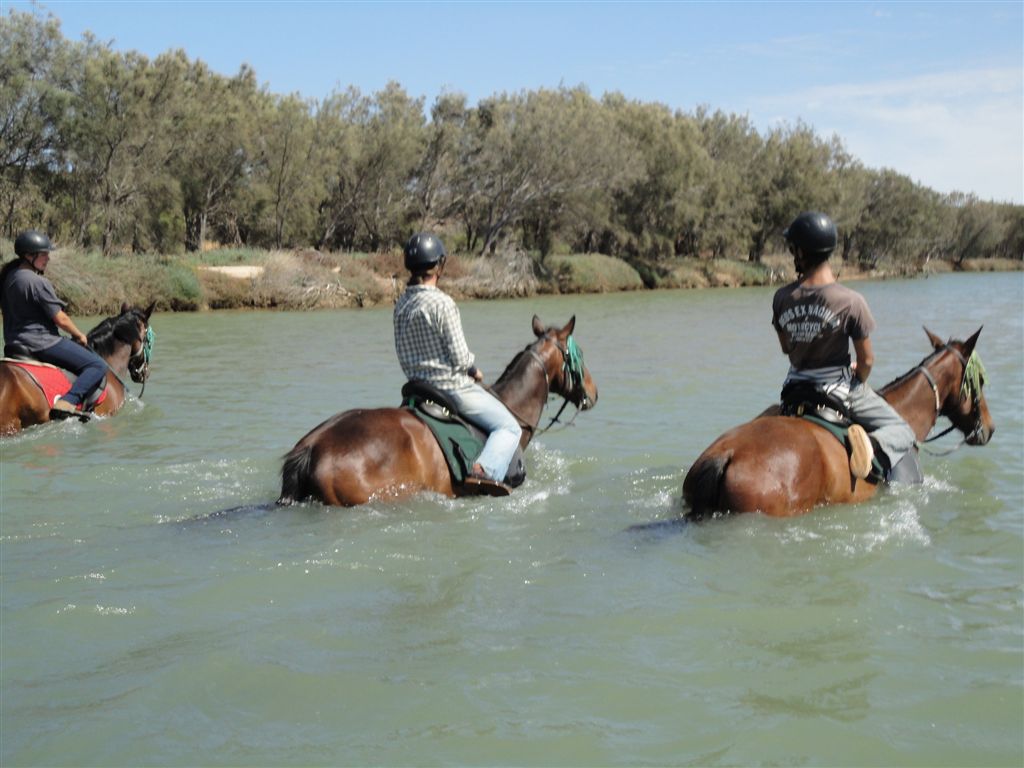 Australian Adventure 2010: Horse riding in the river (Kalbarri WA - 15/11)