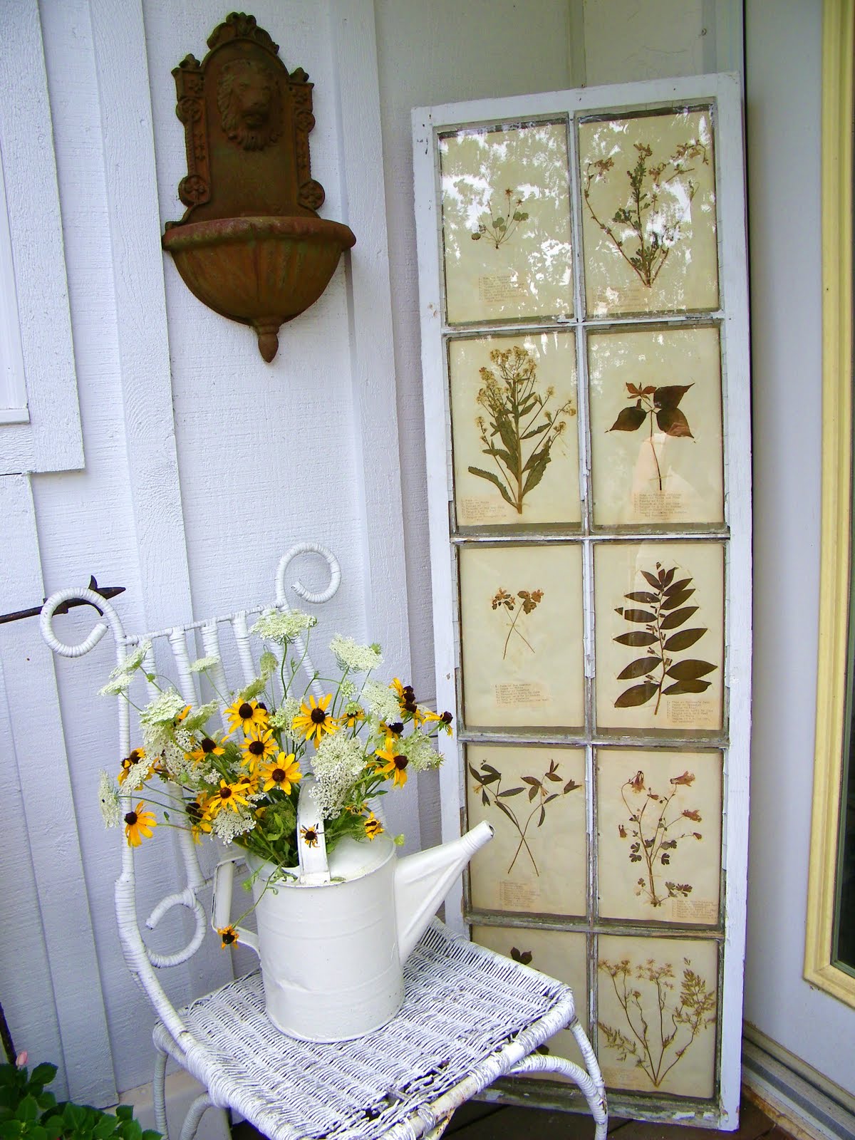 common ground : Vintage Botanical Window