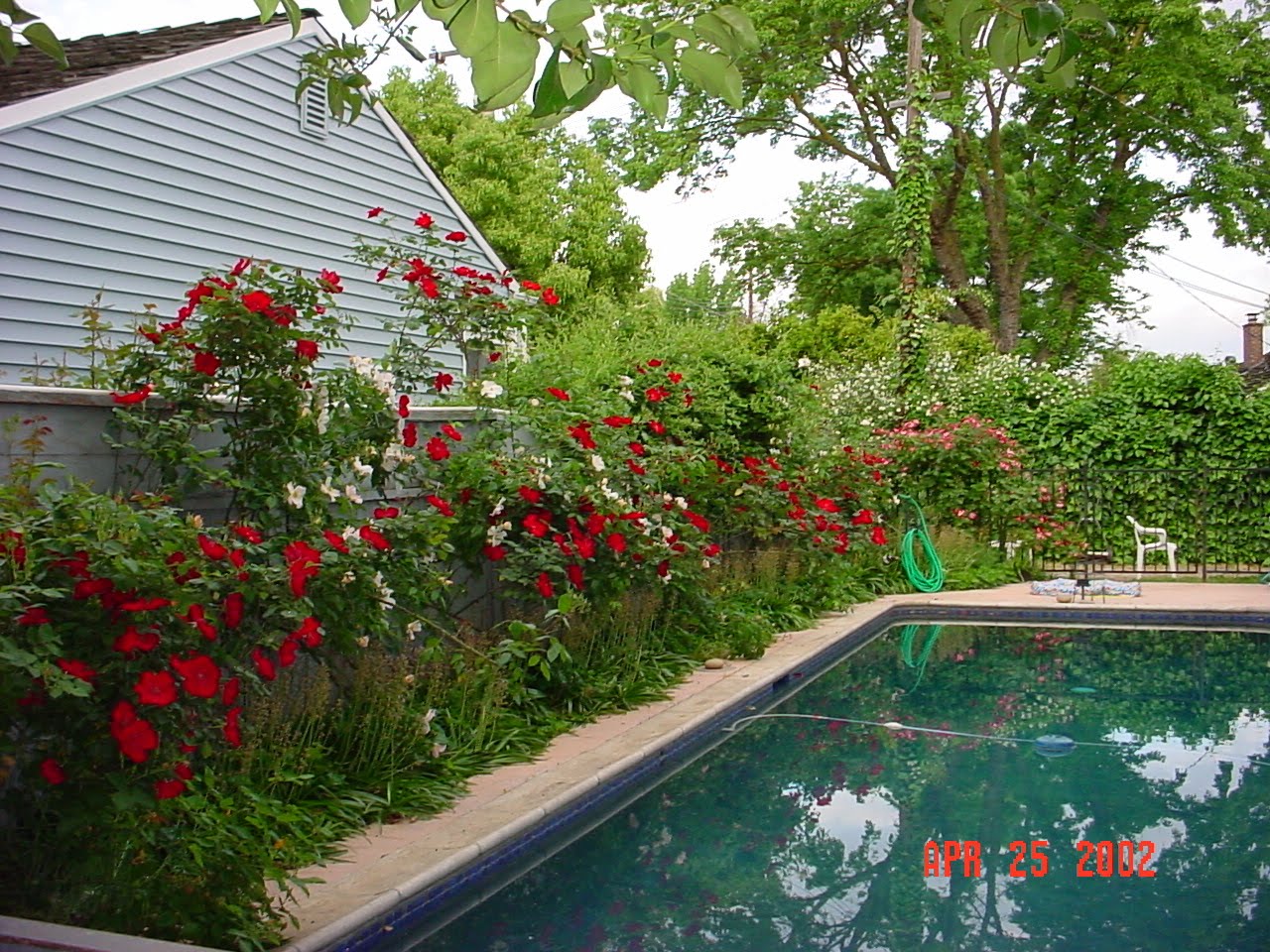 Oxota: Comparing Judging