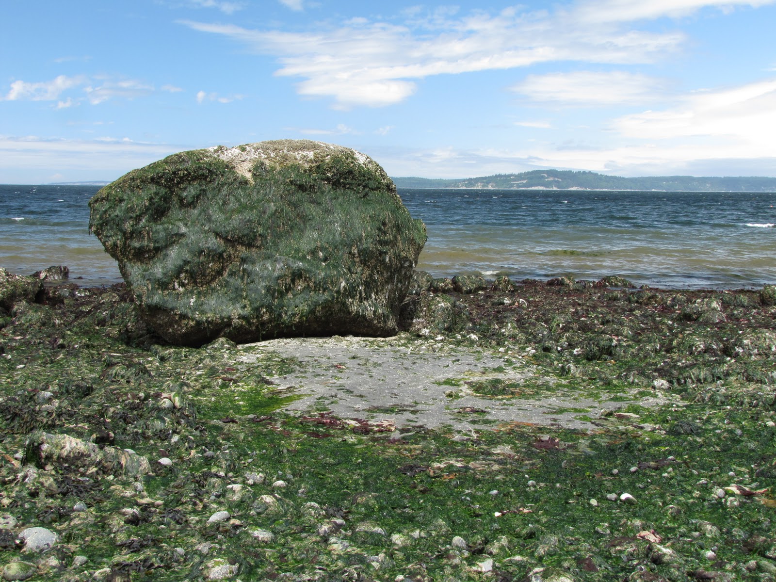 Northwestern Perspectives: Glacial Erratics