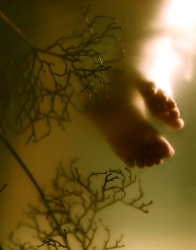 Conceptual Artist Kalliope Amorphous