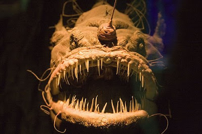 Fish Index: Deep Sea Angler Fish