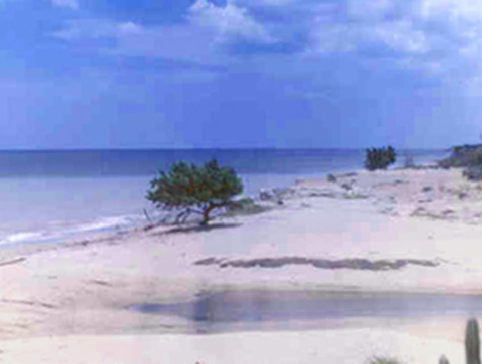 DE PASEO POR LA GUAJIRA: DIBULLA