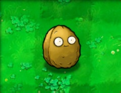 I never noticed this before, but in Gold, Sunkern looks pretty creepy ...