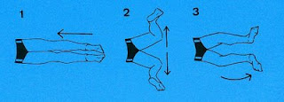 Swimming Teaching: How To Whip Kick: Learn How To Swim 101 - Breaststroke