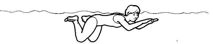 Swimming Teaching: How To Swim Breaststroke Correctly - A Detailed ...