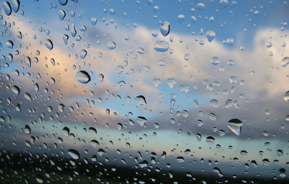 Little Corner of the Earth: Autumn in Dorset