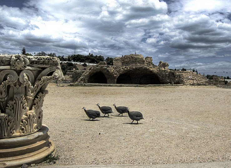 ArqueoLugares: CARTAGO. prox. a Ciudad de Túnez (TN). Rep. Túnez.