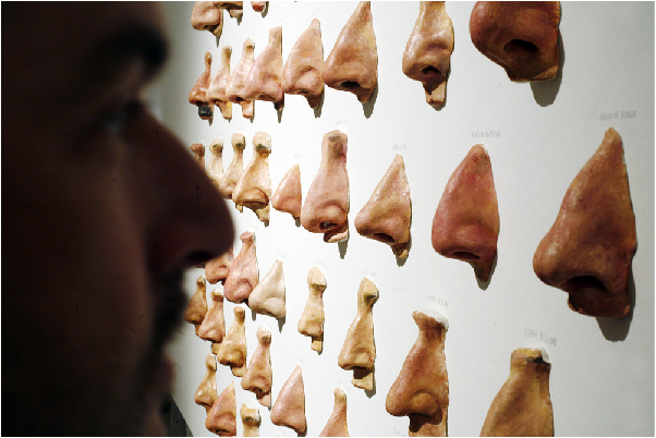 Culture Loves Us: 49 Jewish Noses