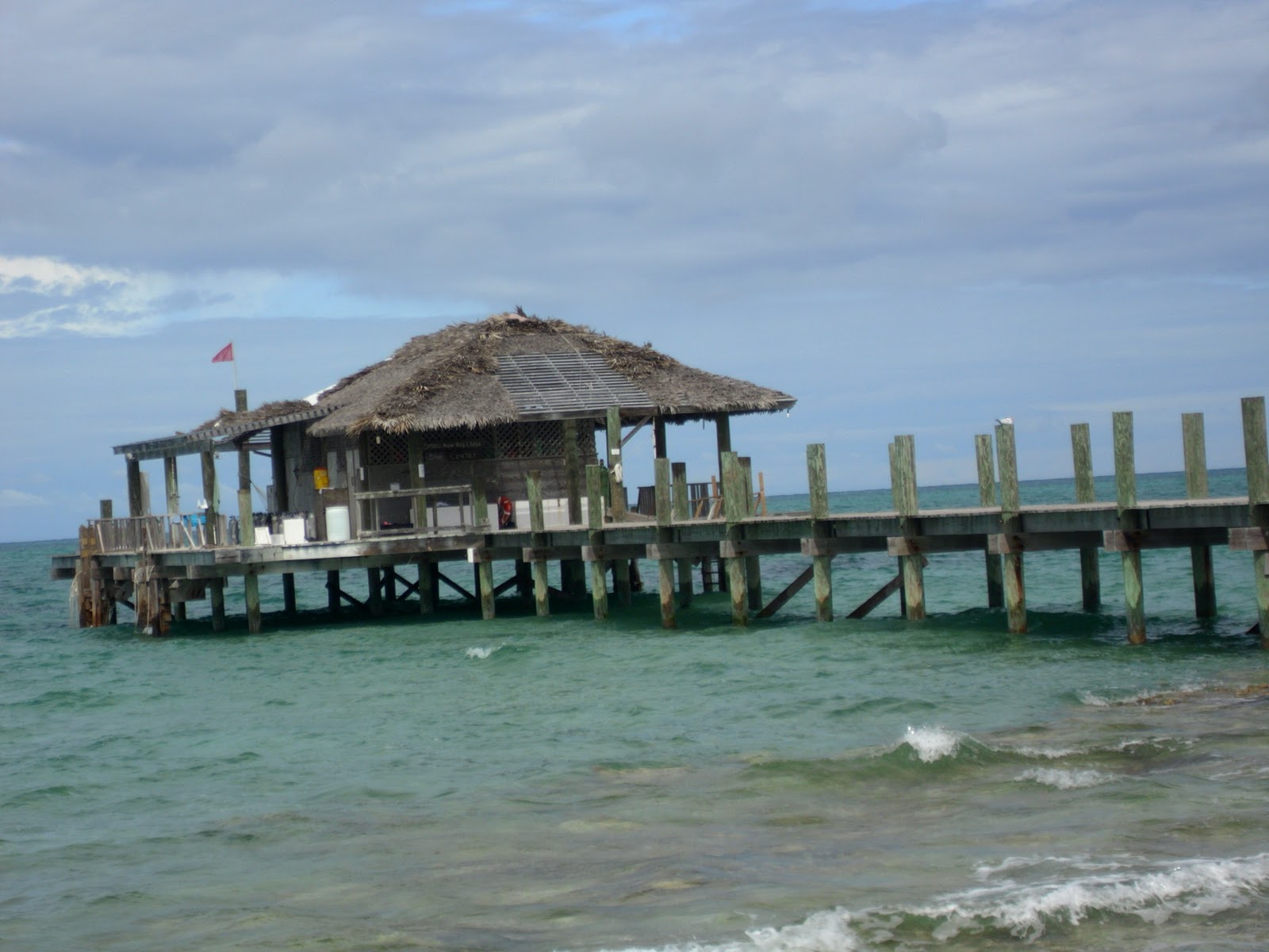 Small Hope Bay Lodge Andros Island Bahamas: Snorkeling at Small Hope