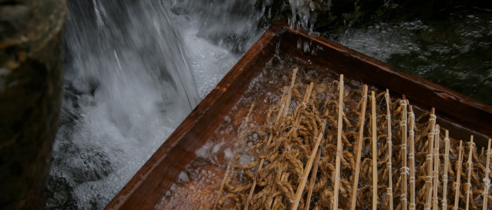 Japanese Textile Workshops 日本のテキスタイル ワークショップ: Wet Bamboo Silk Rearing ...
