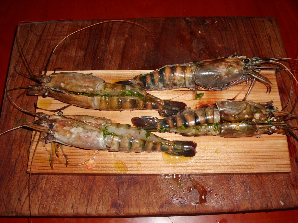 El Fogón de Leña: Acamaya.