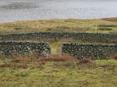 A Concord Pastor Comments: What's a sheepfold?