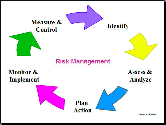 risk insurance tedy: RISK MANAGEMENT