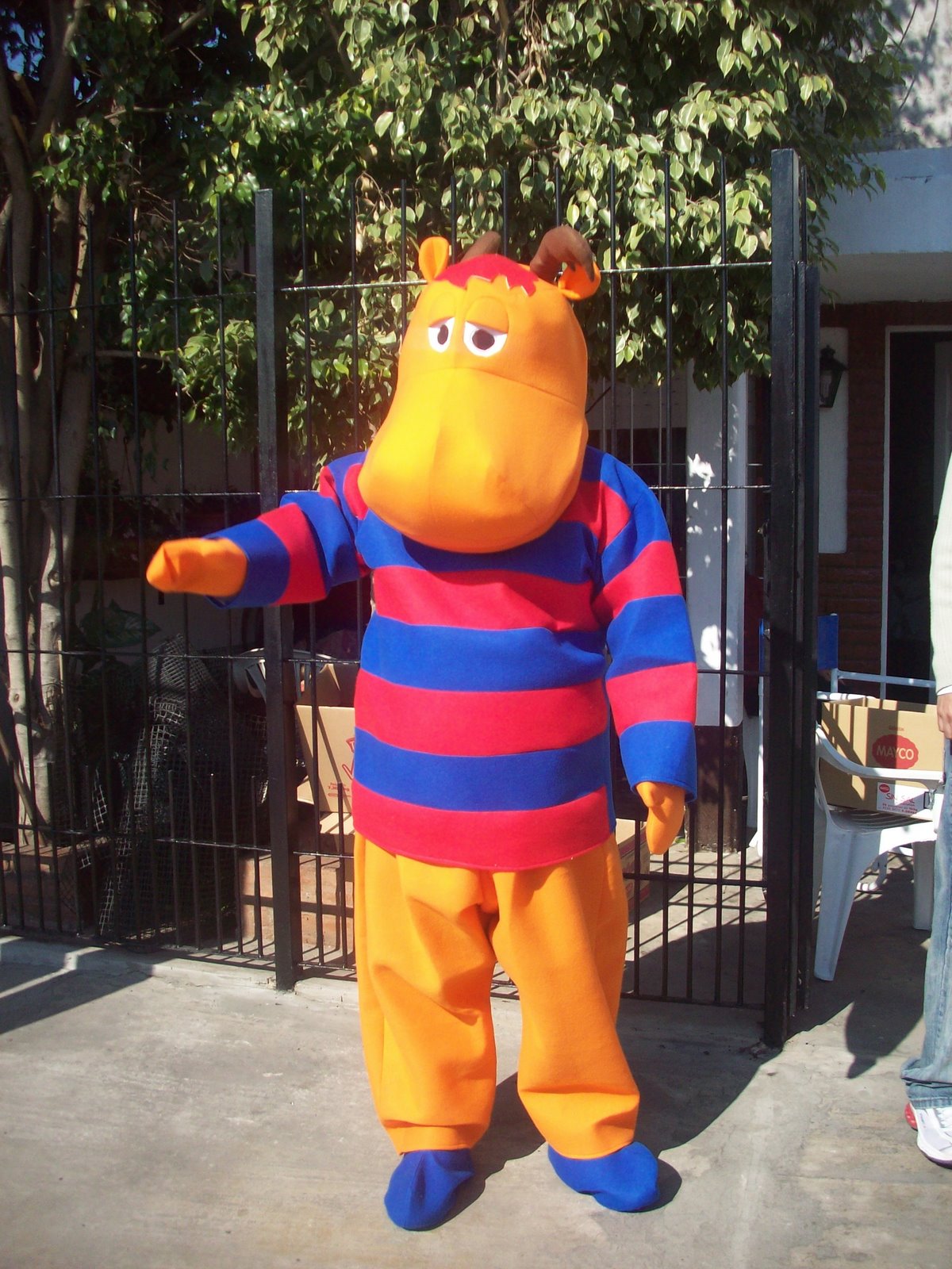 LOS BACKYARDIGANS Y BARNEY: Alquiler de Disfraces