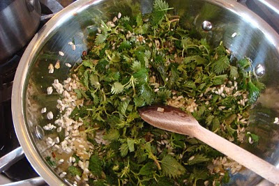 Joanne Weir food wine travel: nettle recipe