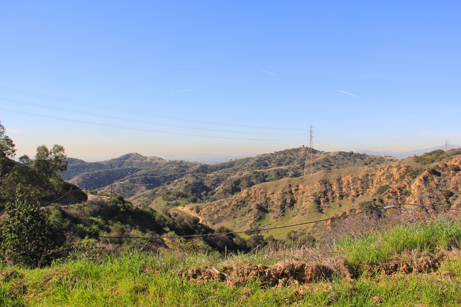 Rey Gardens: Turnbull Canyon January 2011