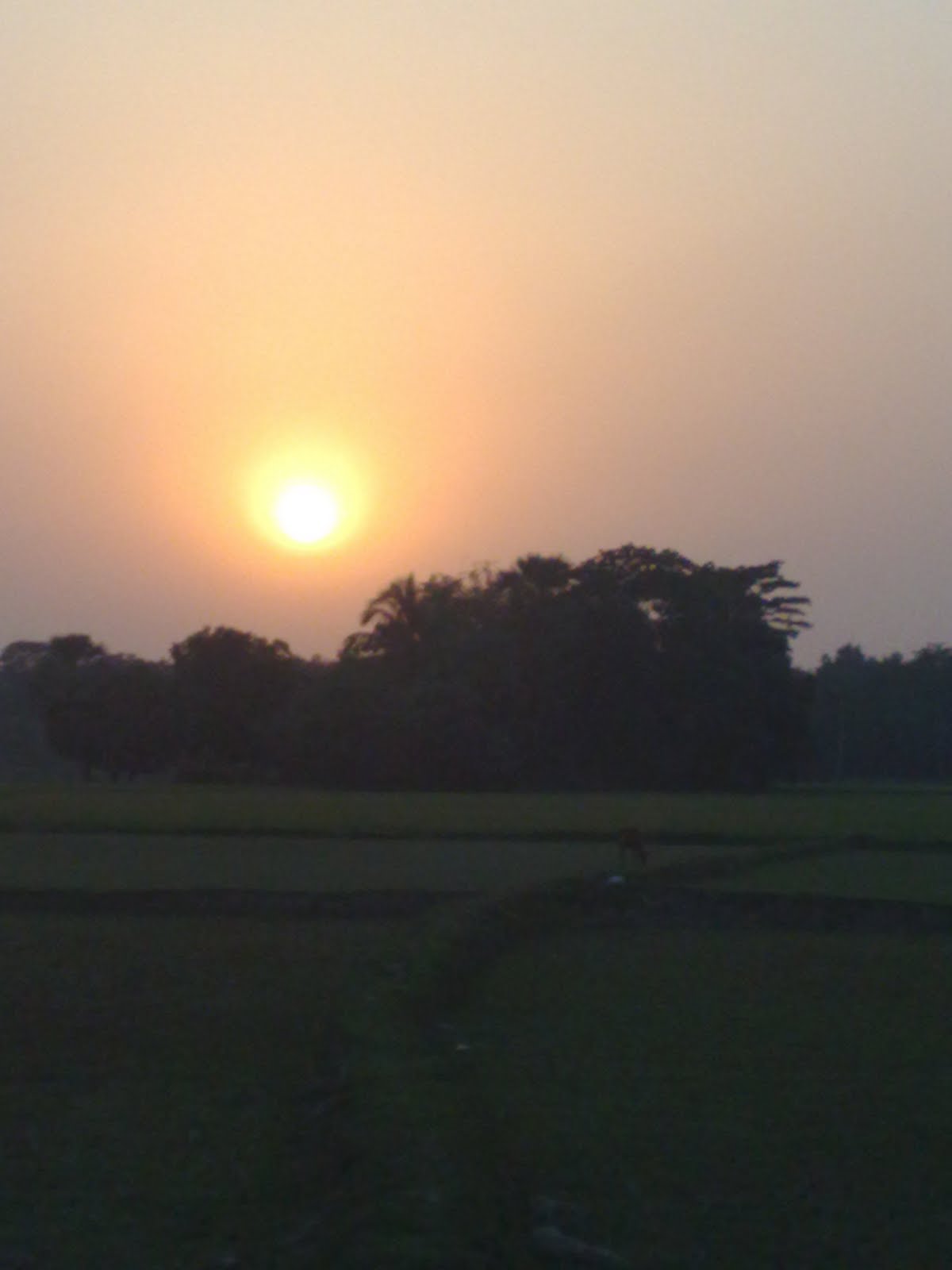 banglar diary: REAL BANGLADESH