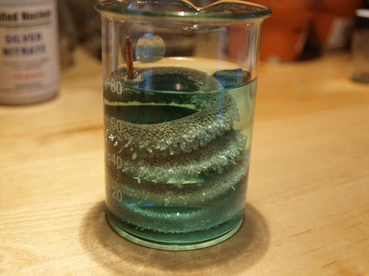 The Home Scientist: Experiment: Silver Tree