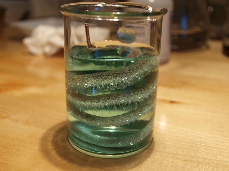 The Home Scientist: Experiment: Silver Tree