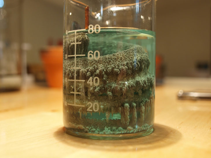 The Home Scientist: Experiment: Silver Tree