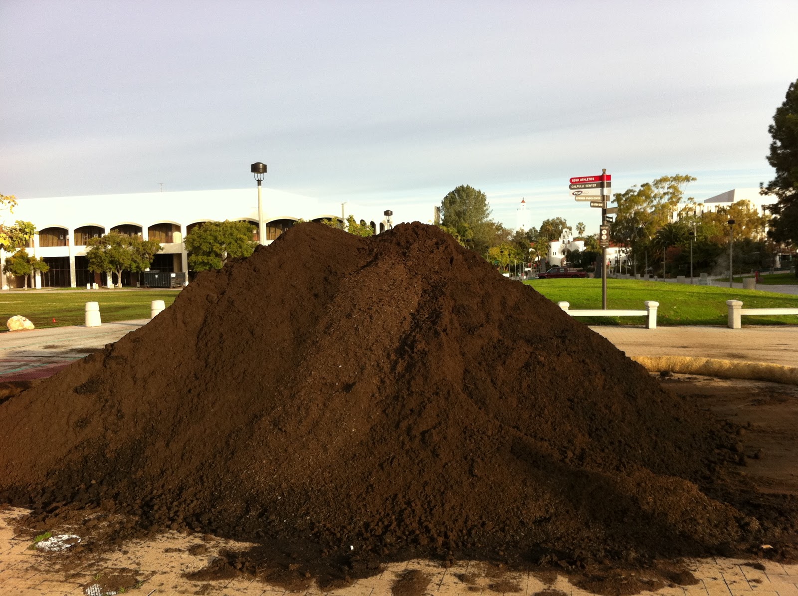 Pete's Plog: Big Pile of Poo