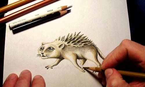 Animals by Design and Other Inspirations: Animals by Design