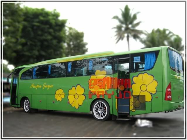 timor modifikasi: Bus Modifikasi