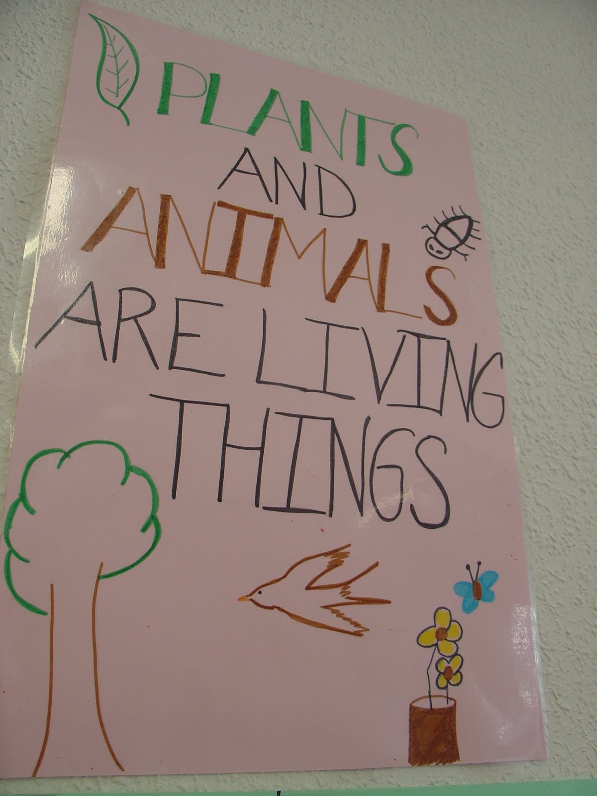 THE ENGLISH CORNER: UNIT THREE: LIVING THINGS