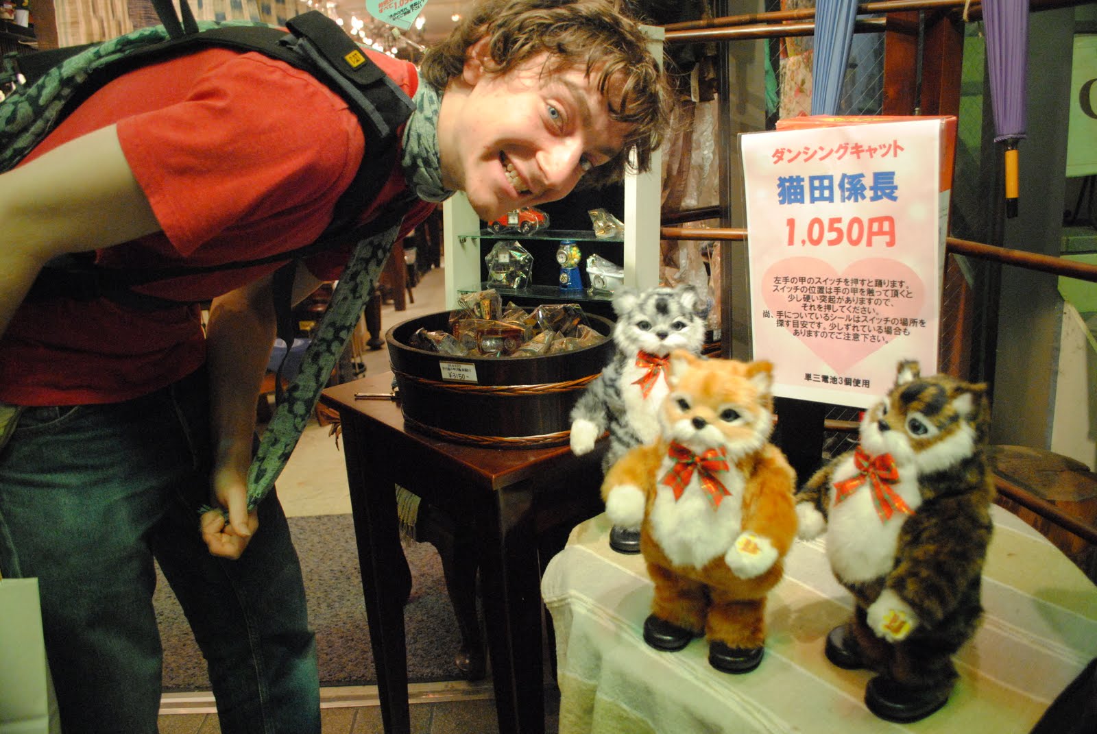 Lesley-Ann in Japan 日本: Day 77: Nishiki Market, Kiyozumi dera & Zen gardens