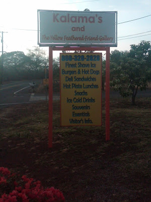 Family adventure year - Evan