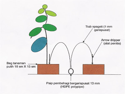 GREEN AGRO WORLD: PENGENALAN KEPADA SISTEM FERTIGASI